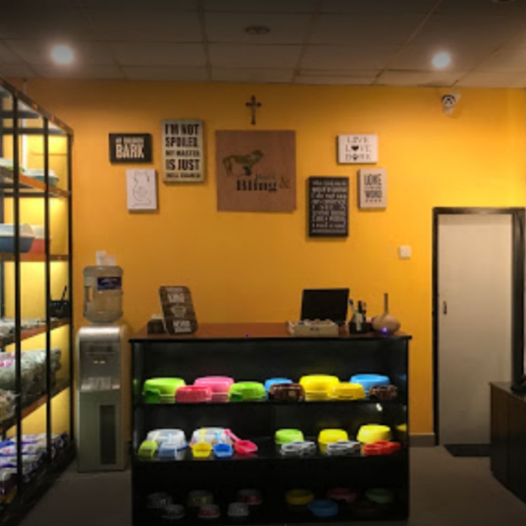 5 Places to get your pet essentials in Colombo – Yamu.lk