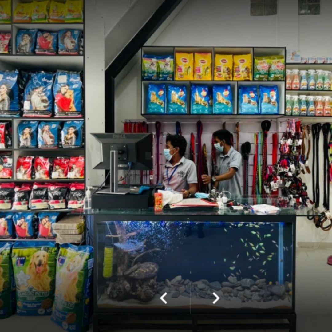 5 Places to get your pet essentials in Colombo – Yamu.lk
