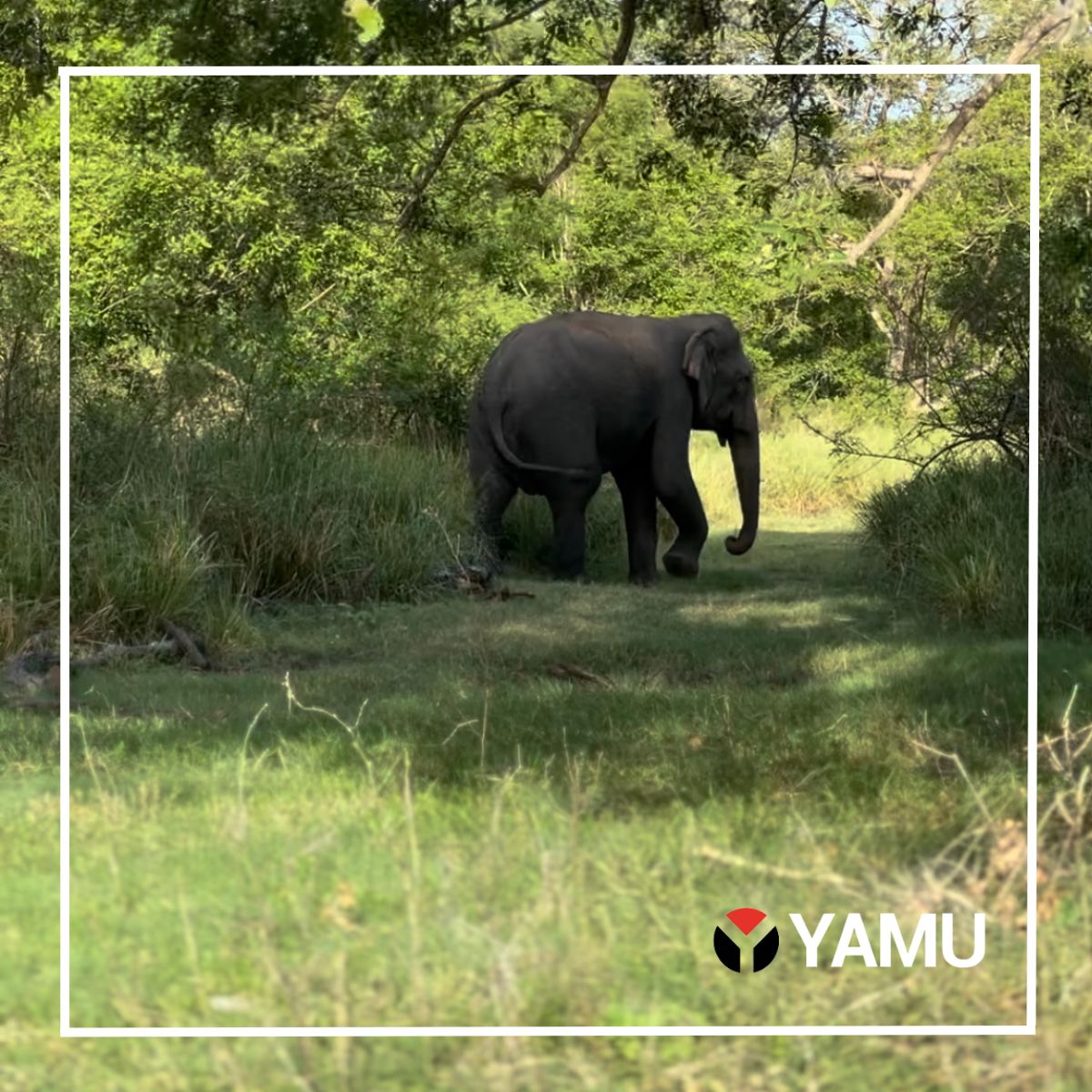 Giritale Hotel: A Haven of Tranquility and Adventure Amidst Nature’s ...