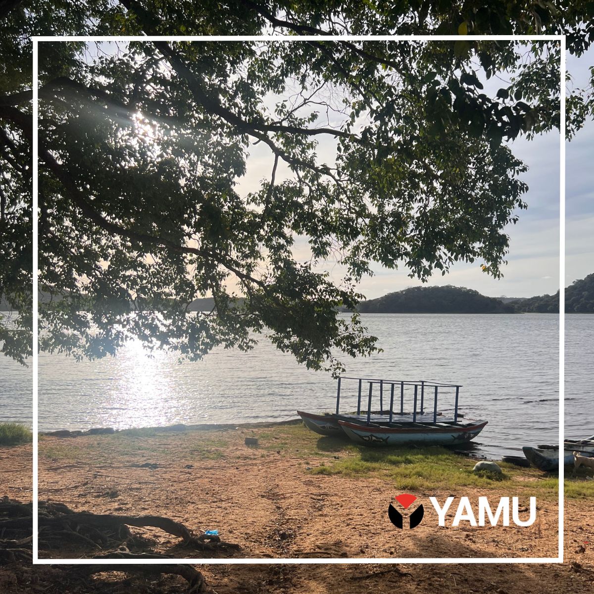 Giritale Hotel: A Haven of Tranquility and Adventure Amidst Nature’s ...